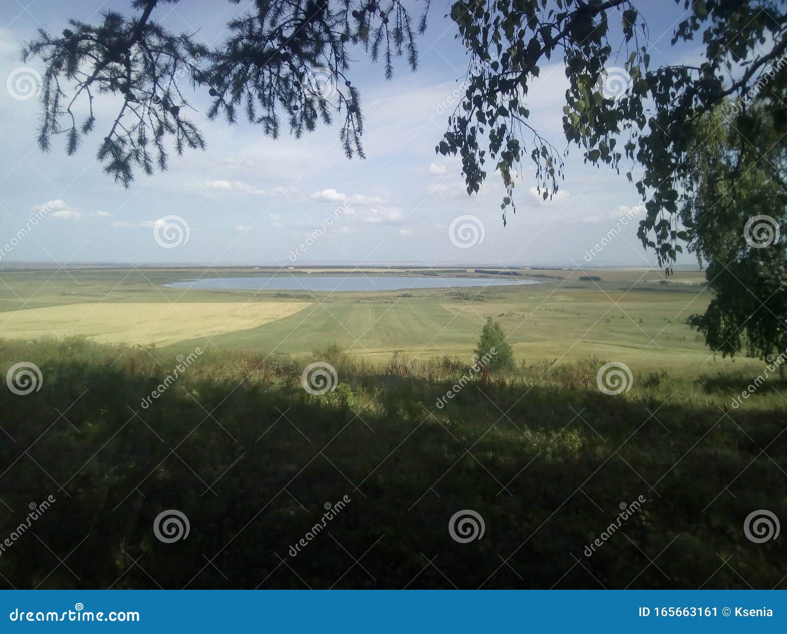 Lake the field stock image. Image of forest, lake, nature - 165663161