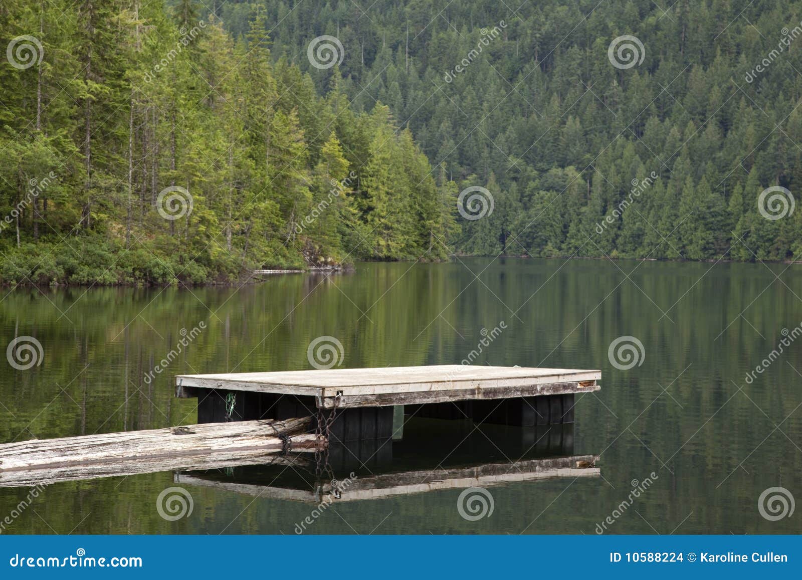 Lake Float stock photo. Image of daytime, tree, green - 10588224