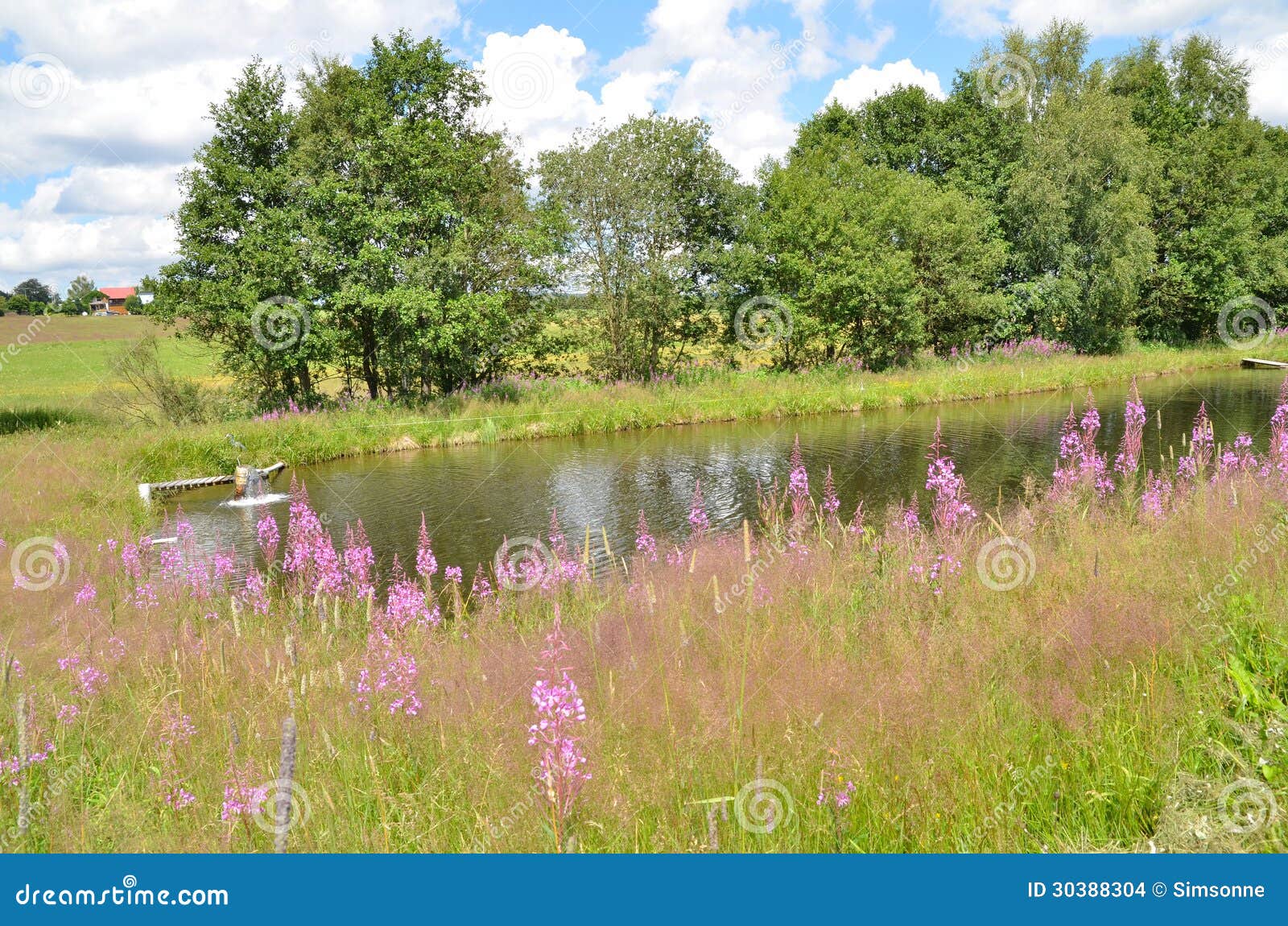 Lake with flowers stock photo. Image of spring, summer - 30388304