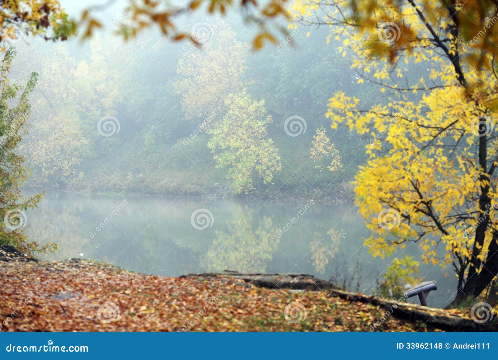 Lake in the Fog stock photo. Image of fall, footpath - 33962148