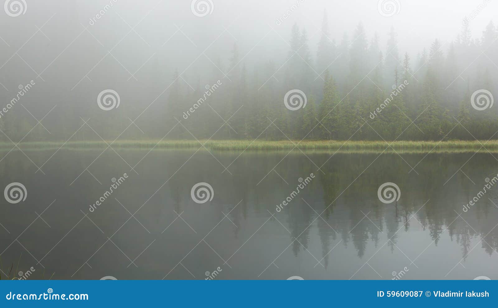 The lake in the fog stock image. Image of tree, still - 59609087