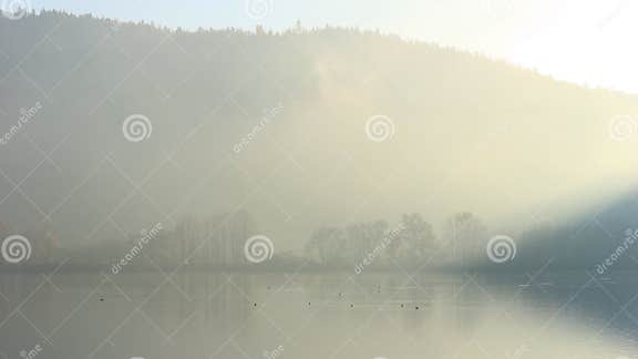 Lake and fog stock photo. Image of water, sunlight, scenic - 215522224