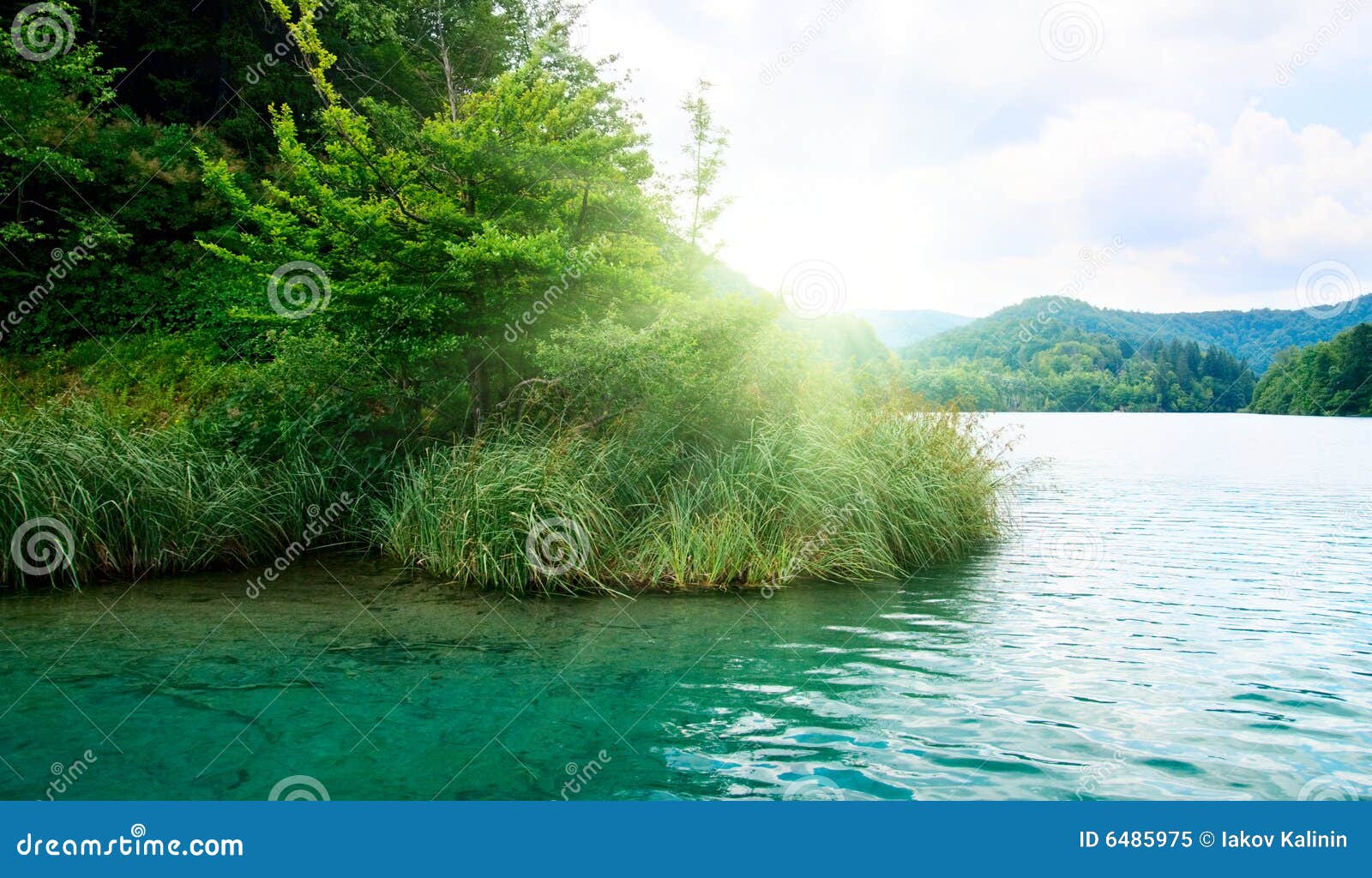 Lake in forest stock image. Image of plitvice, environment - 6485975