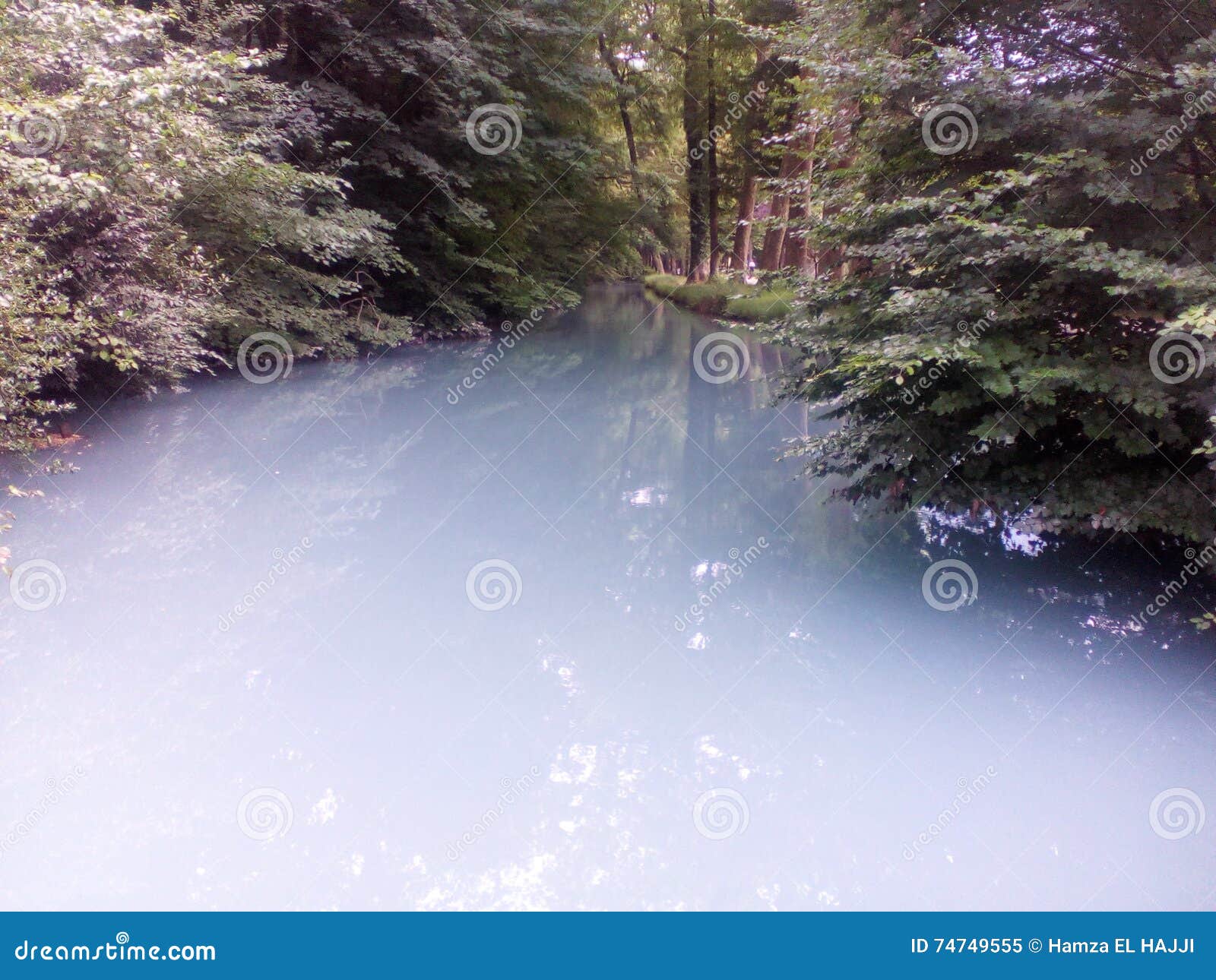 Lake in forest stock image. Image of lake, freedom, nature - 74749555