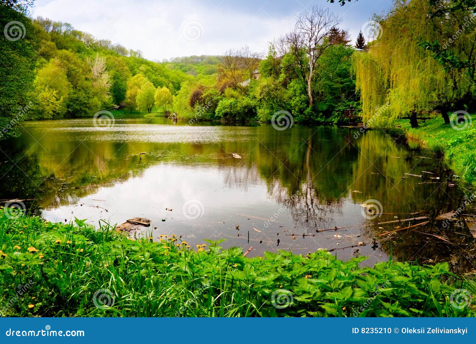 Lake in forest stock photo. Image of cloud, peaceful, environment - 8235210