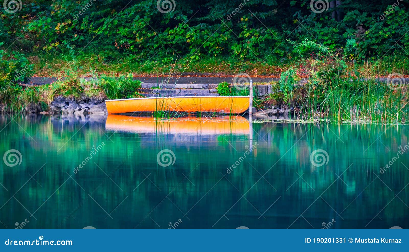 Lake with forest stock image. Image of adventure, healthy - 190201331