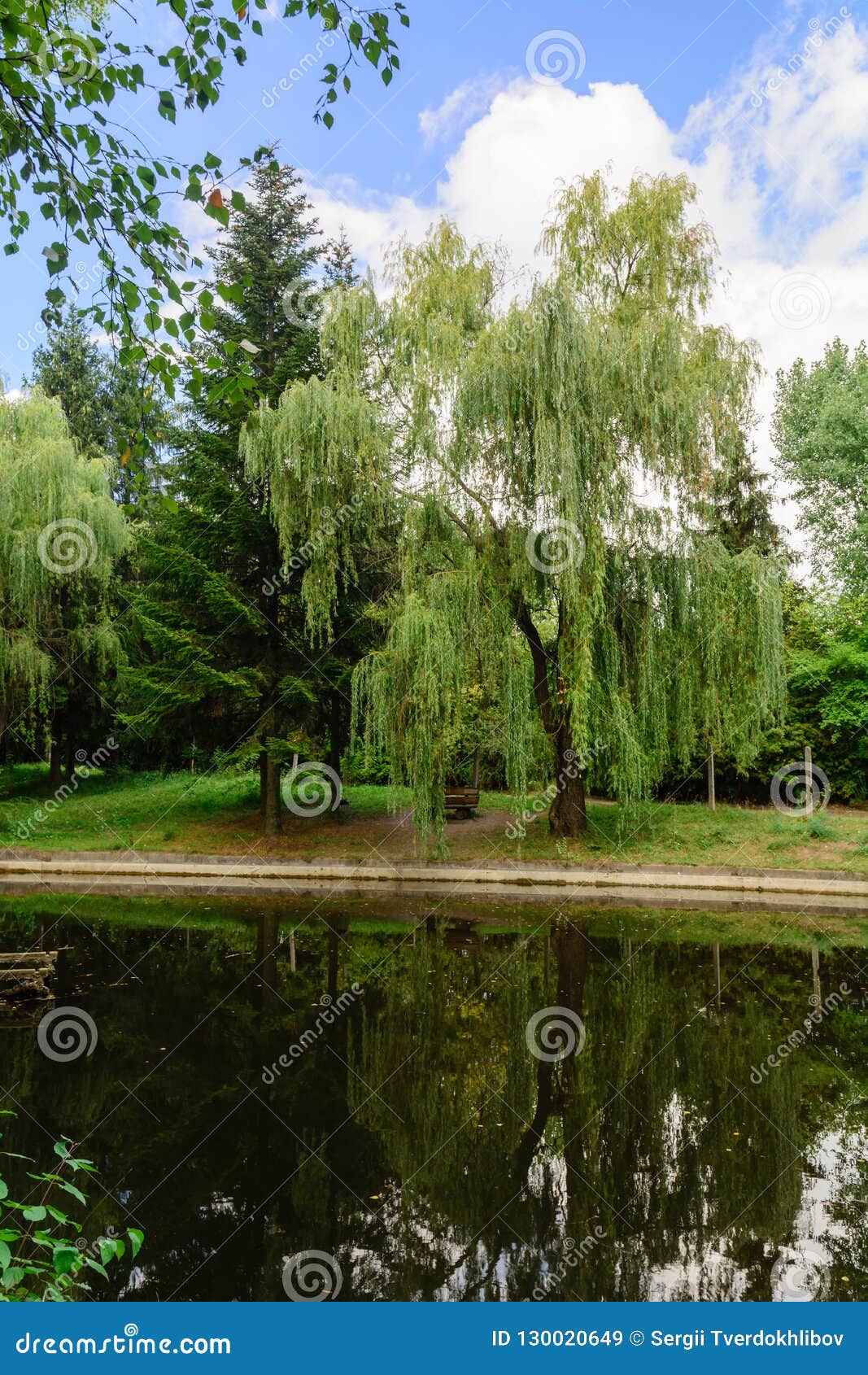 Lake in the Forest. Clear Calm Water and Large Trees. Stock Image ...