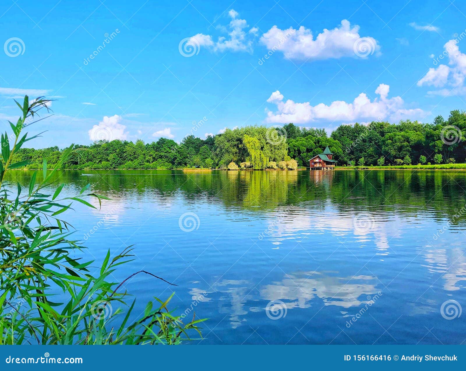 Nature Of Ukraine. Myrgorod Resort. Stock Photo | CartoonDealer.com ...