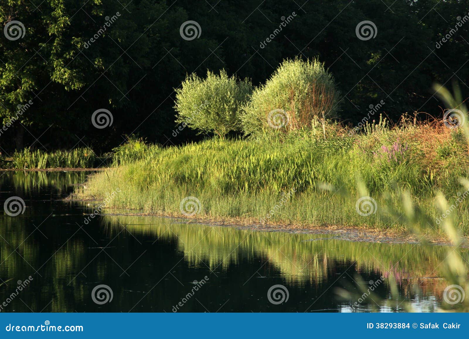 Lake stock photo. Image of forest, pond, panoramic, reservoir - 38293884