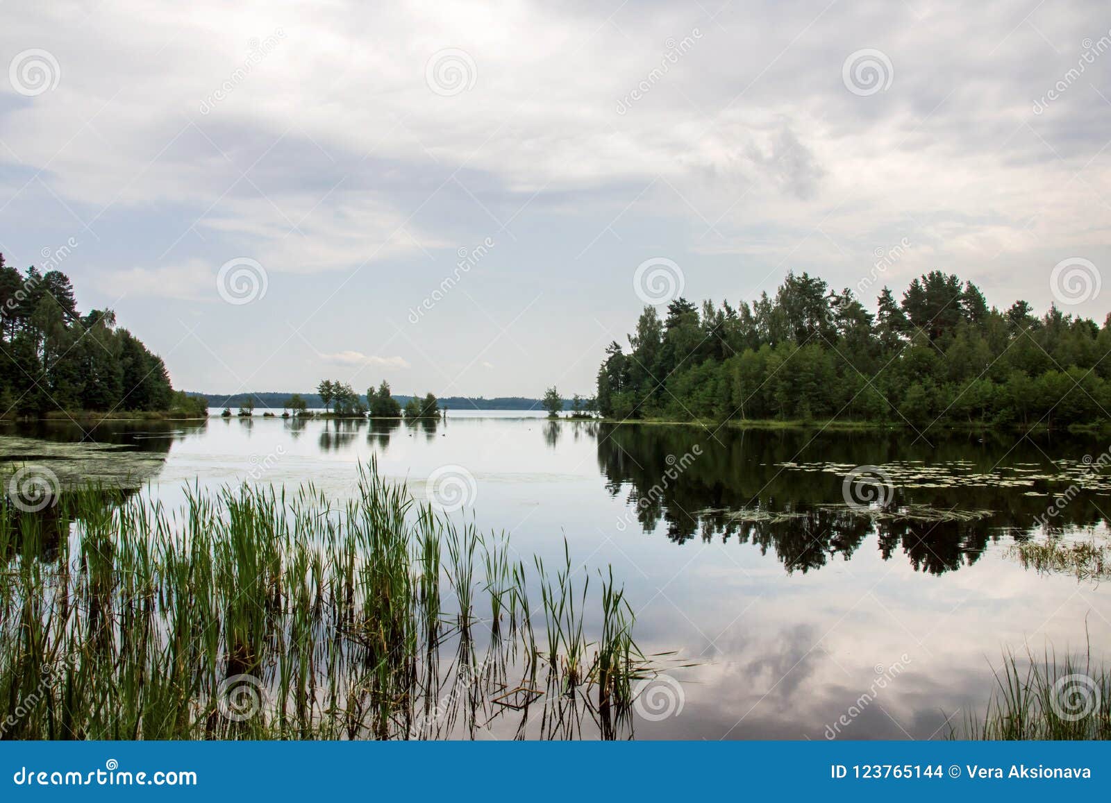 Lake and Forest on the Shore, a Reflection of the Sky in the Water ...