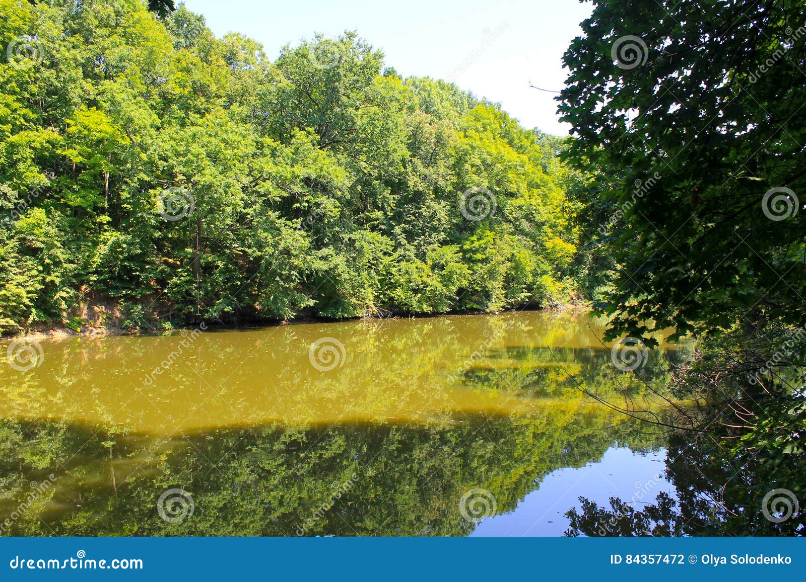 Lake in forest stock photo. Image of forest, bright, park - 84357472