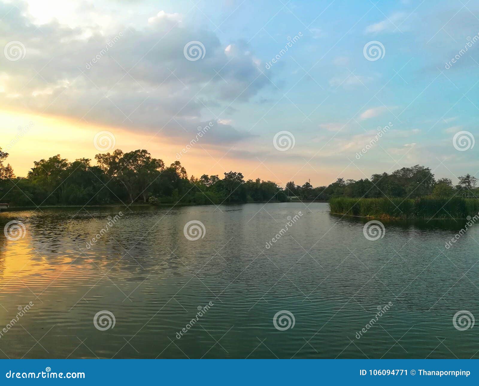 Lake and Forest in Sunset Time. Stock Image - Image of forest ...