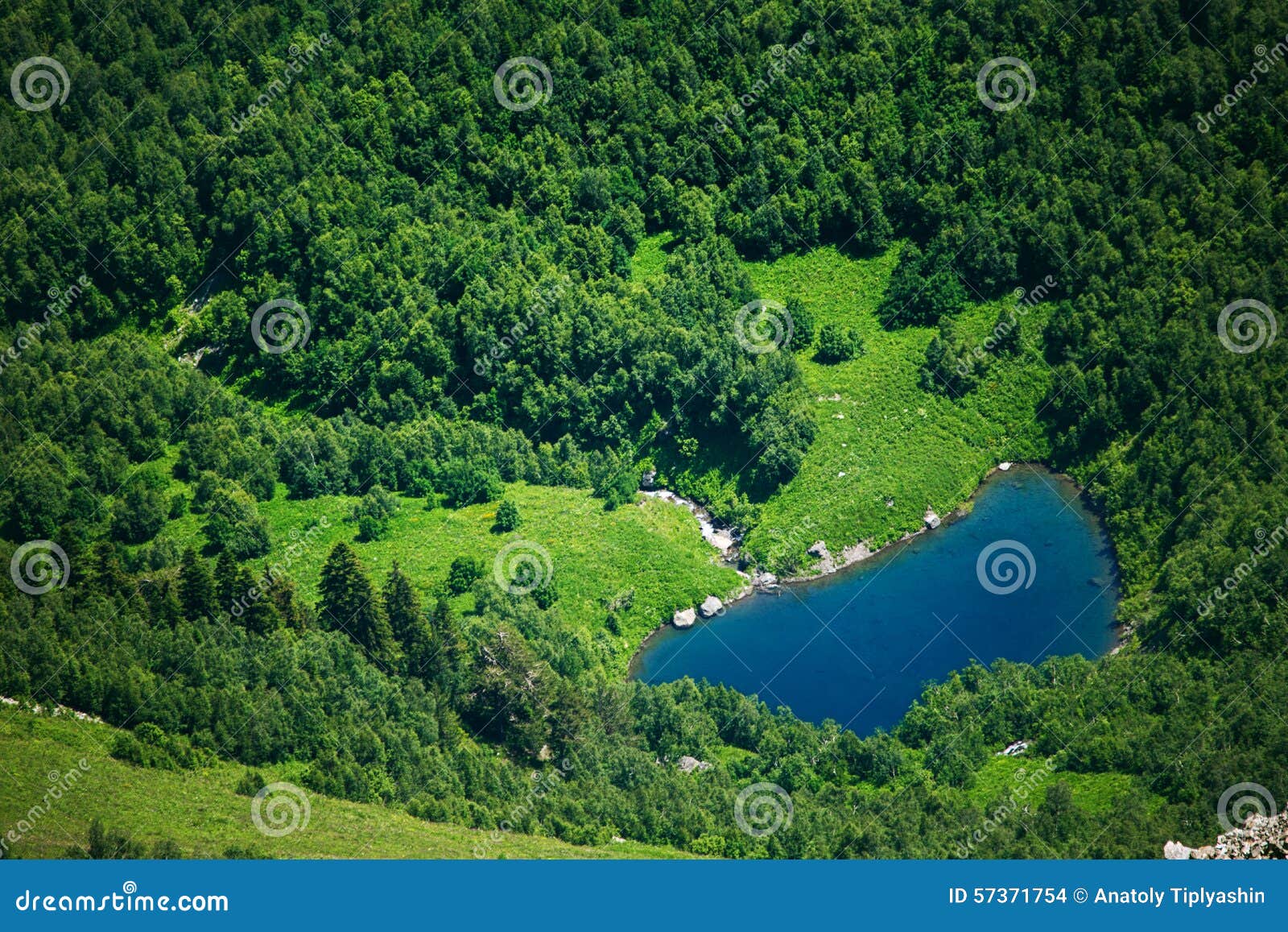 Lake in forest stock photo. Image of edge, plant, environment - 57371754