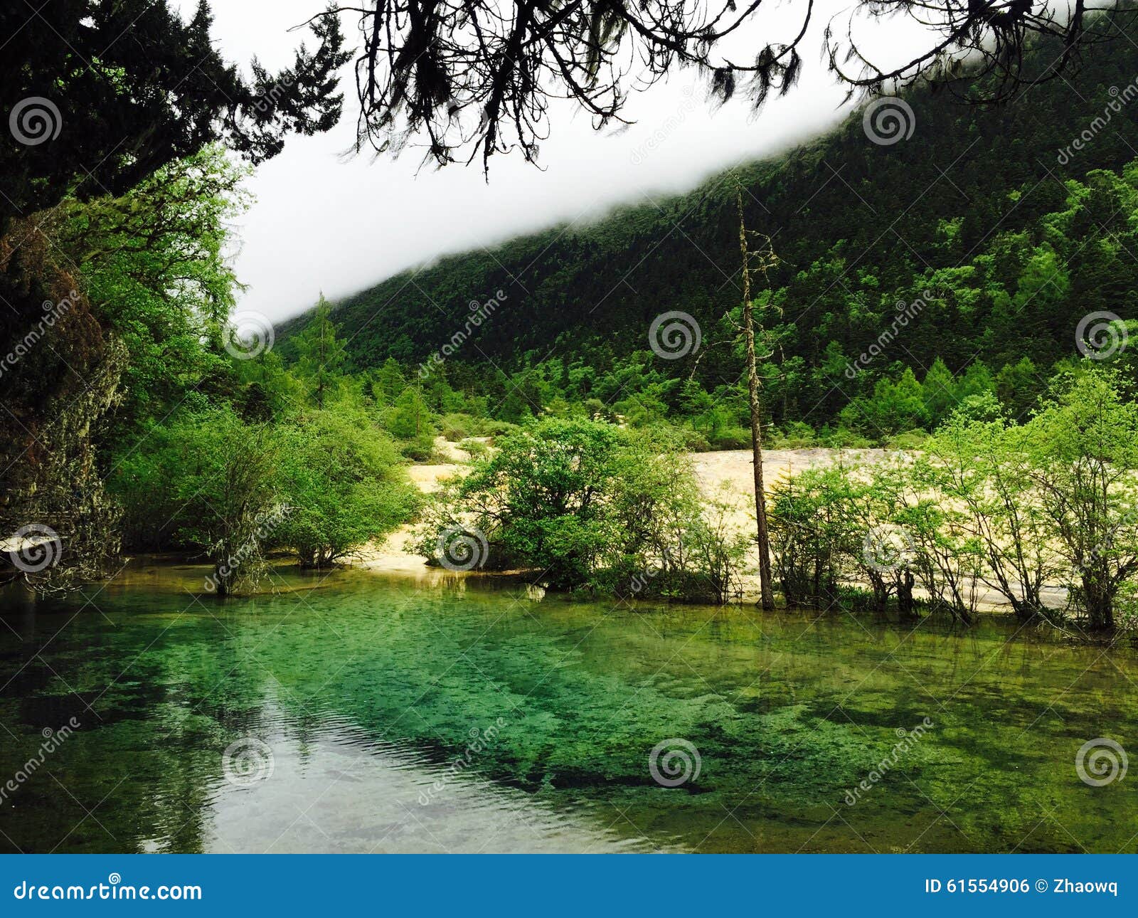 Lake and forest stock photo. Image of landscape, green - 61554906