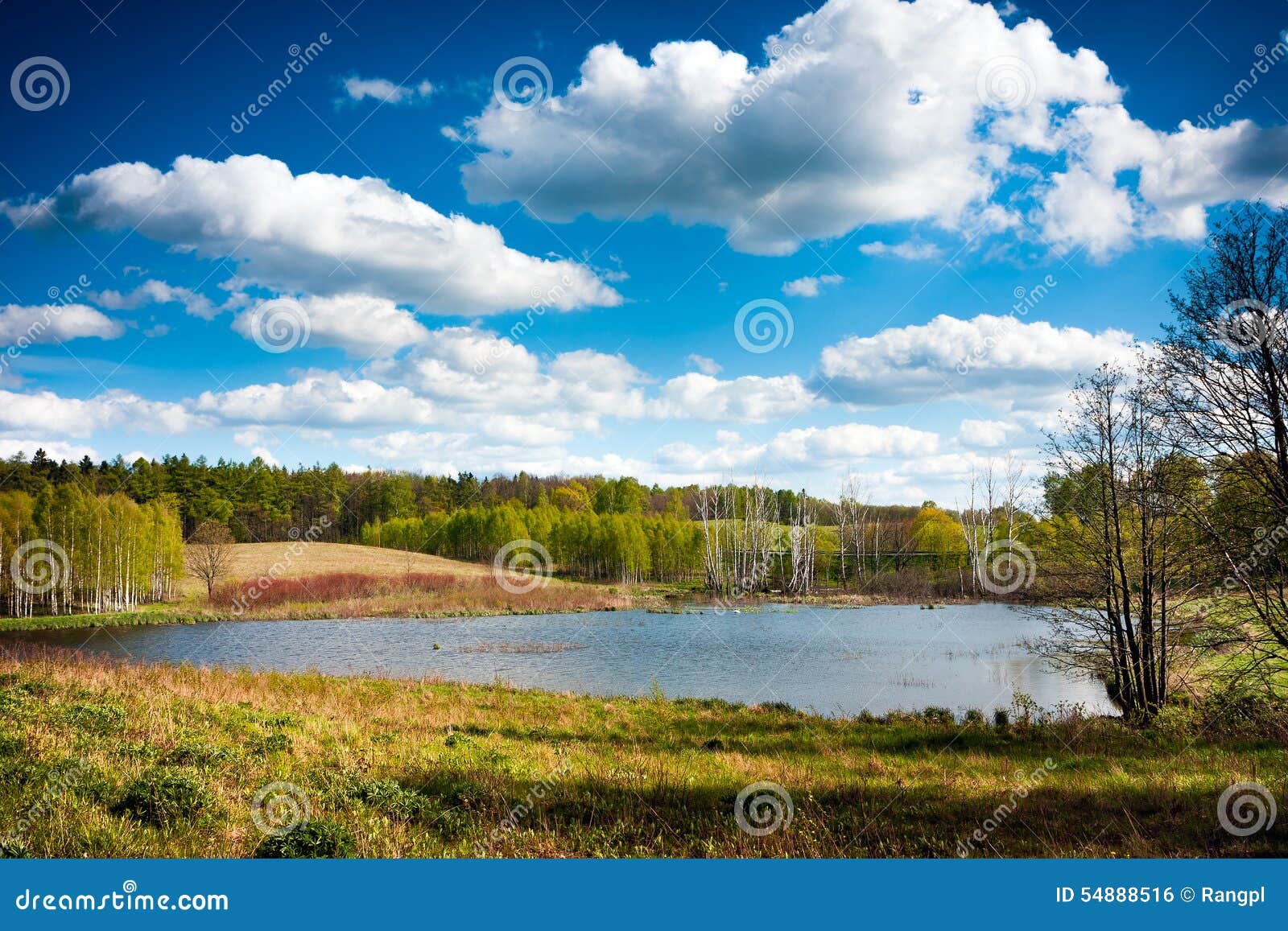 Lake Forest, Warmia Masuria Stock Photo - Image of poland, warmia: 54888516