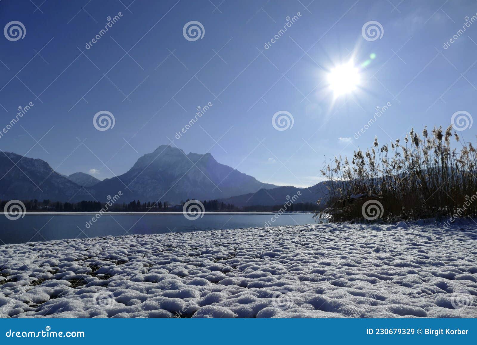 Lake Forggensee in Bavaria, Germany Stock Image - Image of schwangau ...