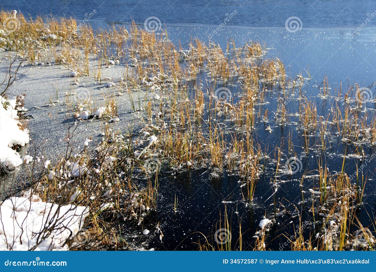 Lake freezing over stock image. Image of landscape, snow - 34572587