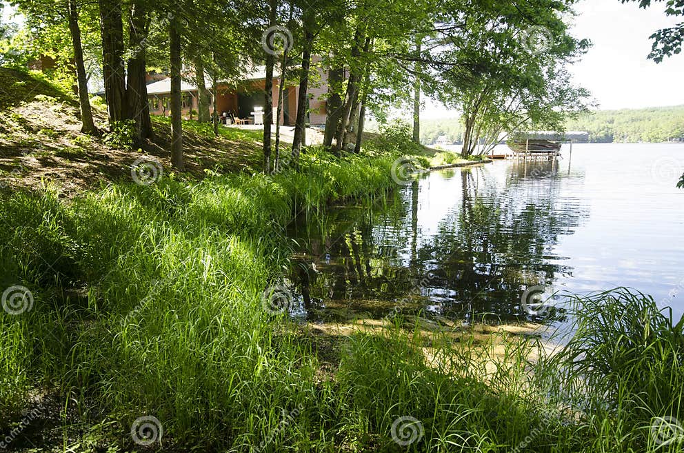 Lake front Pine River Pond stock photo. Image of level - 206330150