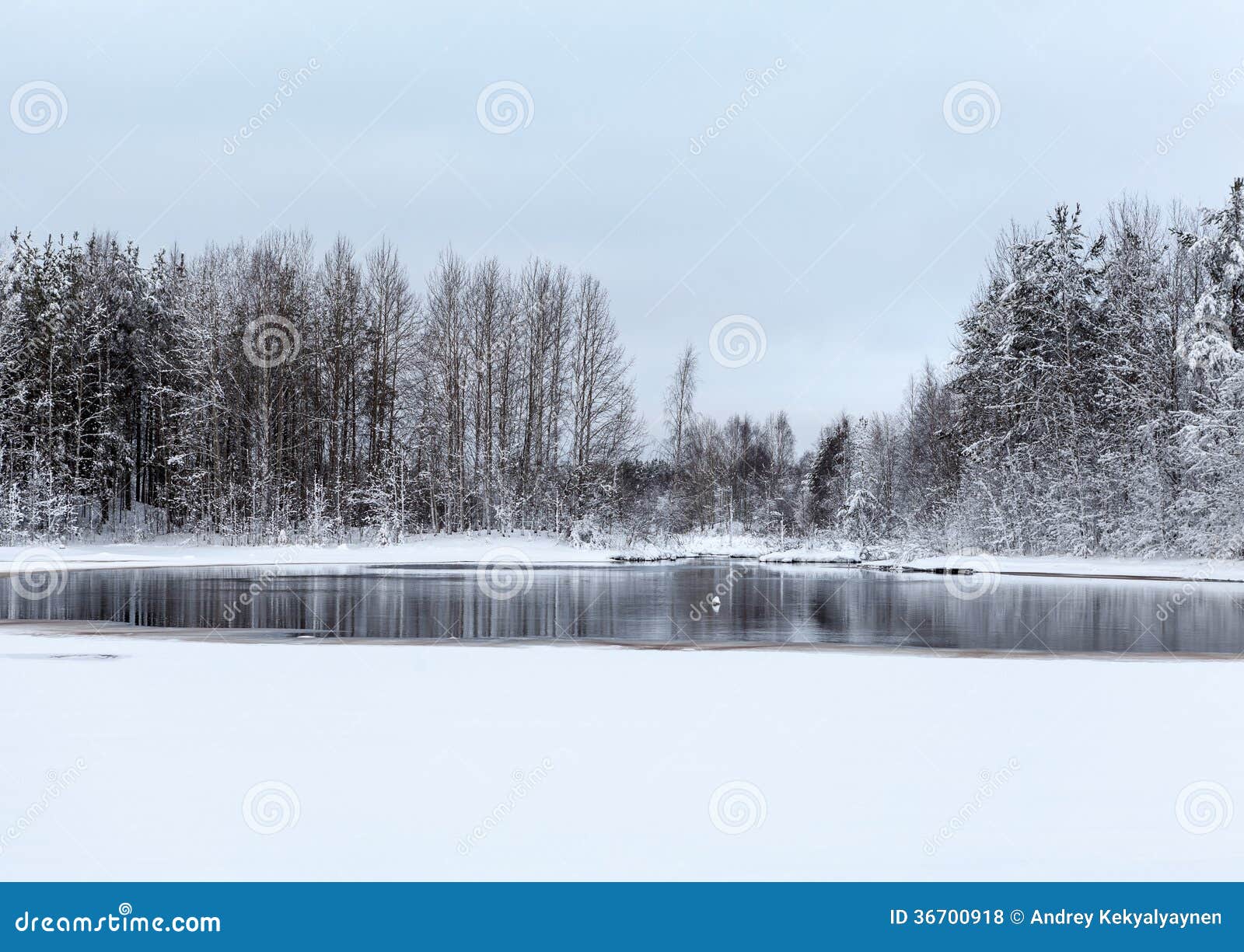 Lake and Frozen Trees at Winter Stock Photo - Image of beauty, color ...