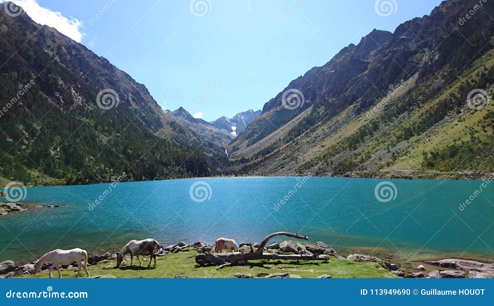 Lake of Gaube Cauterets Pyrenees Stock Photo - Image of cauteret ...
