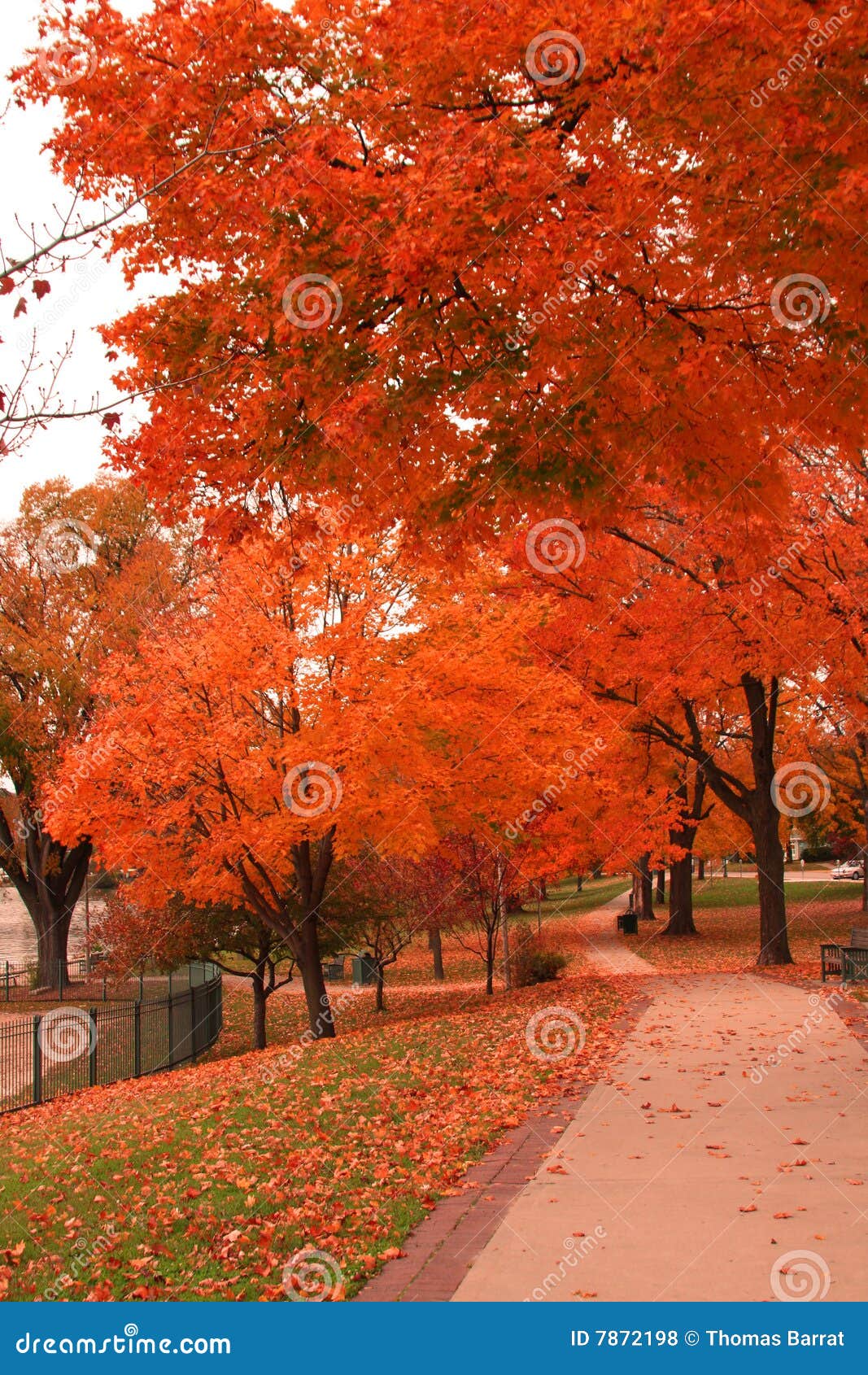 Lake Geneva in Autumn stock photo. Image of path, geneva - 7872198