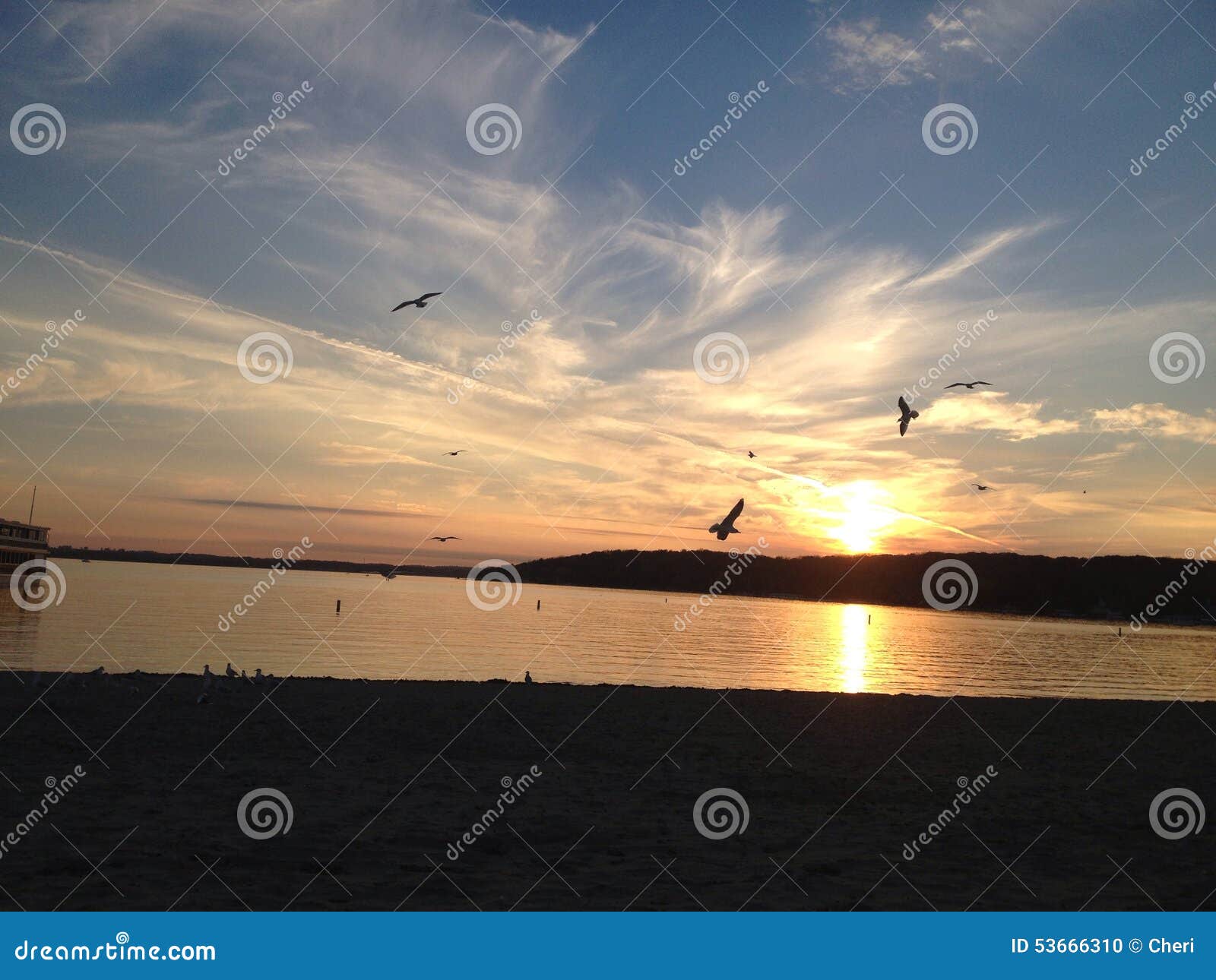 Lake Geneva Sunset stock photo. Image of evening, lakegeneva - 53666310