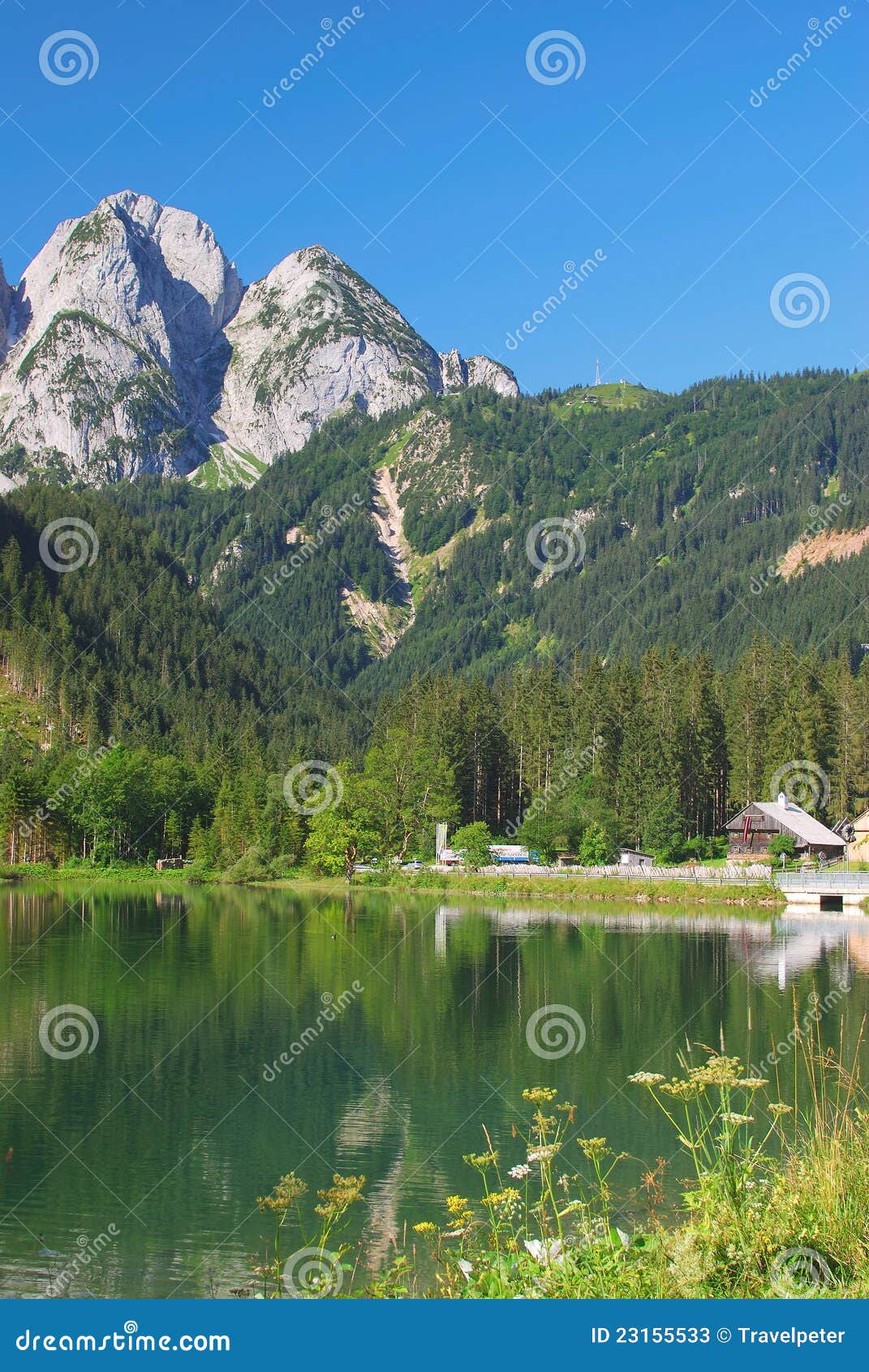 Lake Gosausee,Gosausee,Alps,Austria Stock Image - Image of idyllic ...