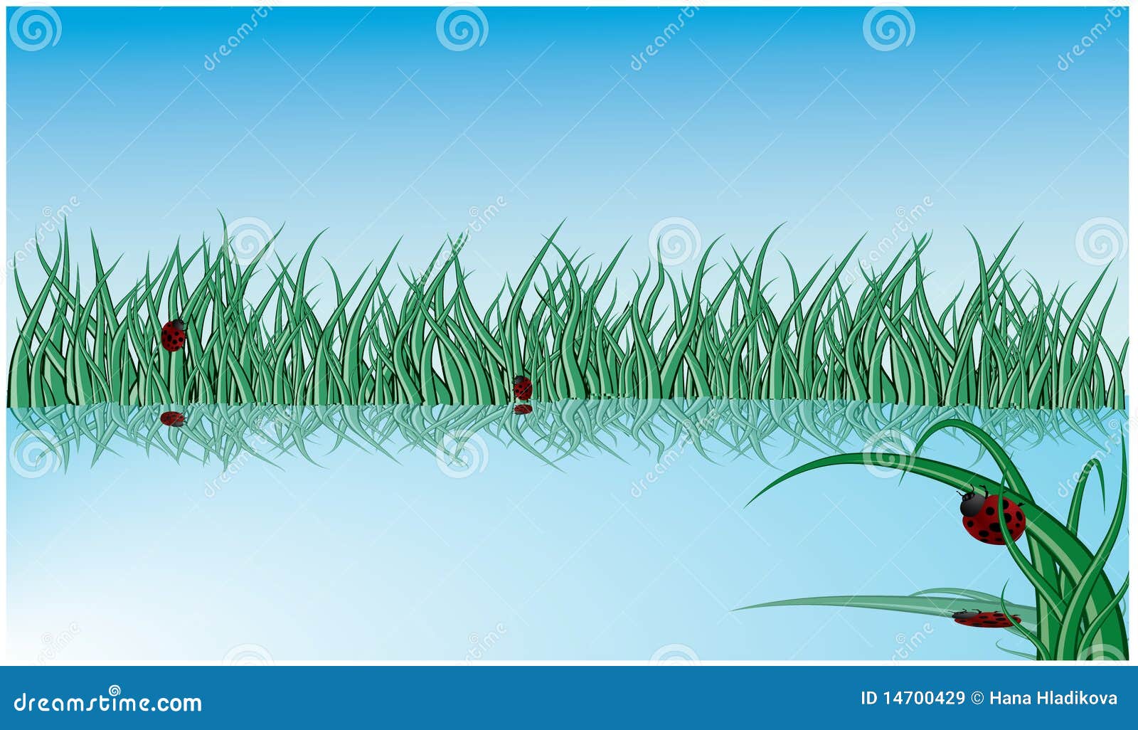Lake with Grass and Ladybugs Stock Vector - Illustration of detail ...