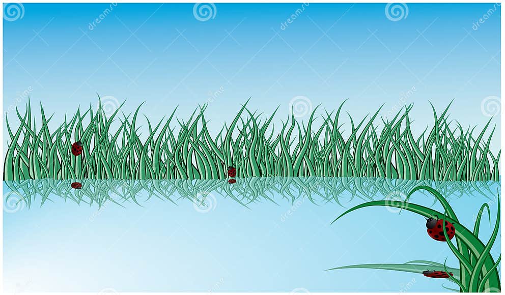 Lake with Grass and Ladybugs Stock Vector - Illustration of detail ...