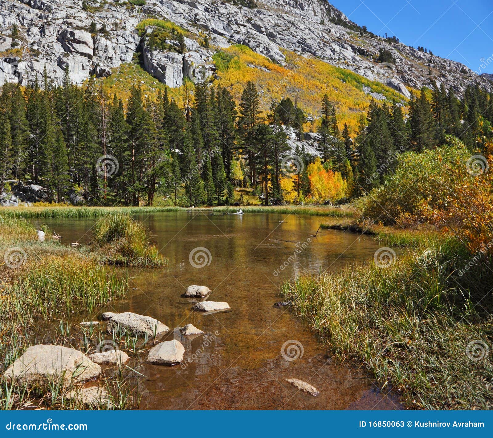 Lake with grassy banks stock image. Image of solitude - 16850063