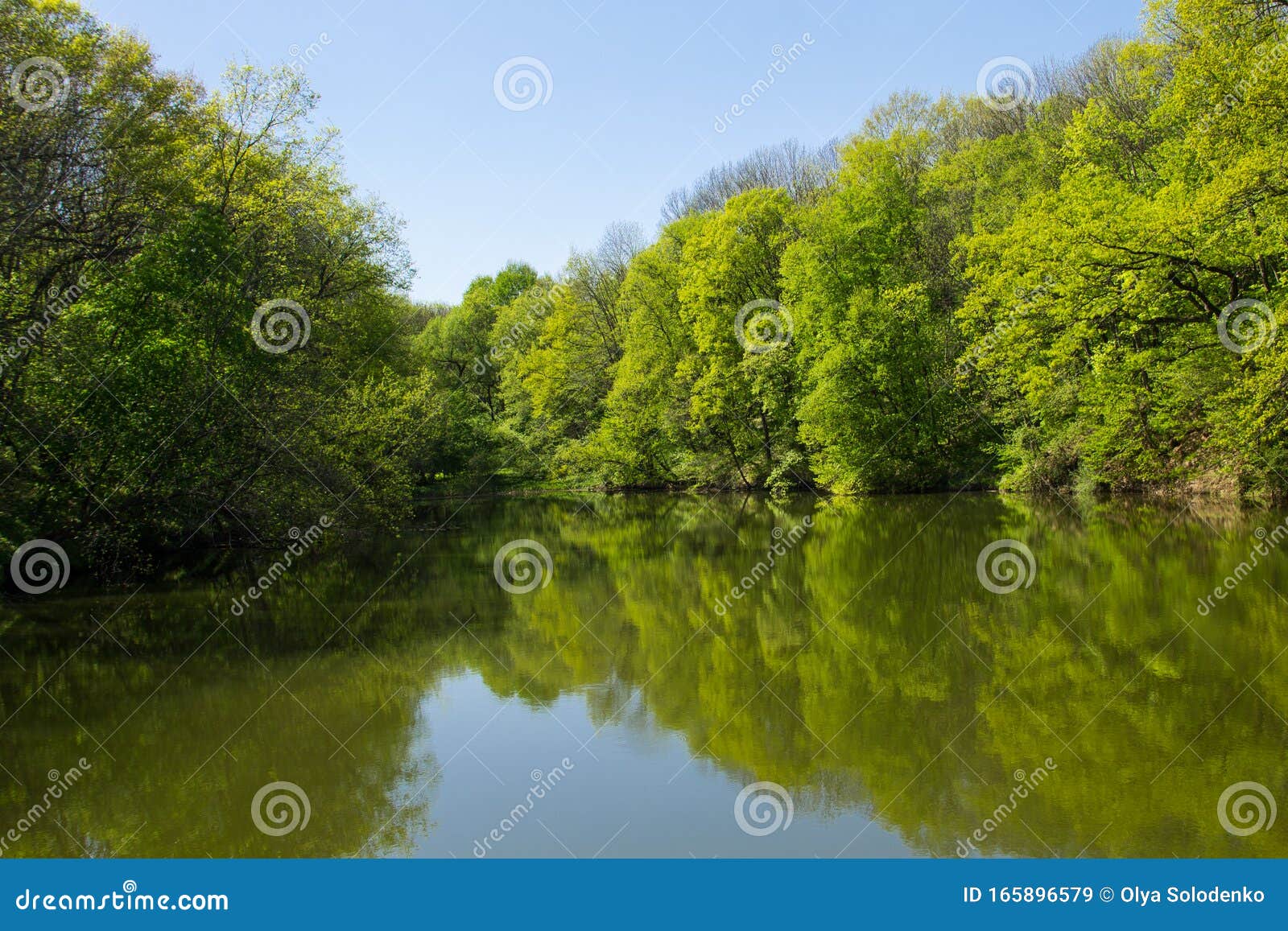Lake in green forest stock image. Image of destination - 165896579