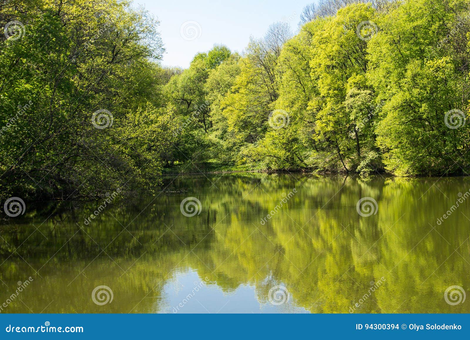 Lake in green forest stock photo. Image of outdoor, lush - 94300394