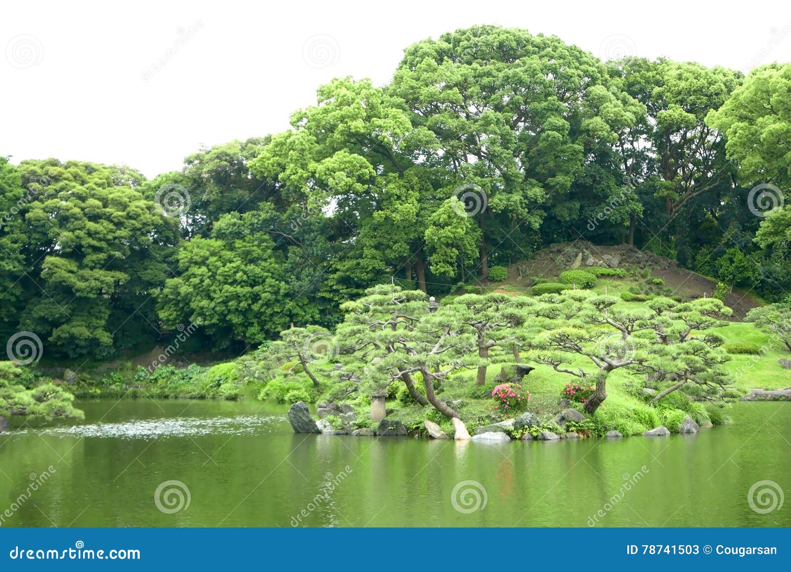 Lake, Green Tree and Plant in Zen Garden Stock Image - Image of lake ...