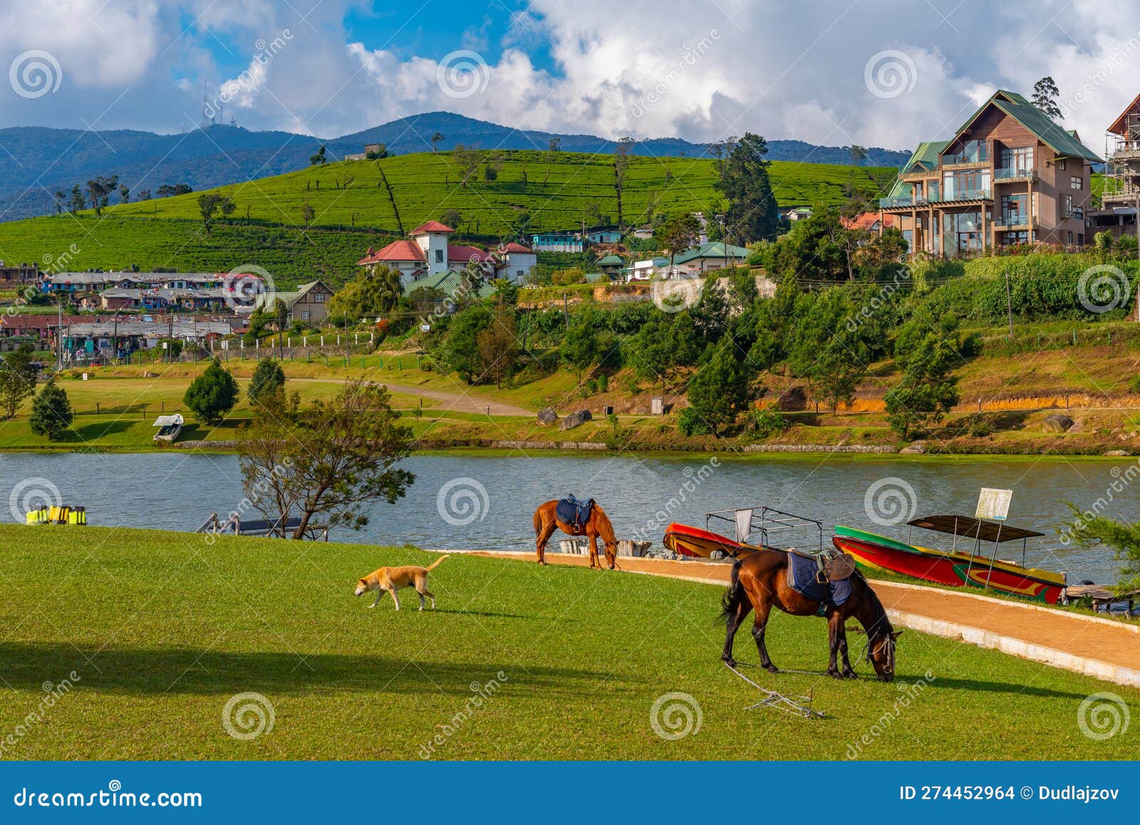 Lake Gregory at Nuwara Eliya, Sri Lanka Stock Photo - Image of park ...