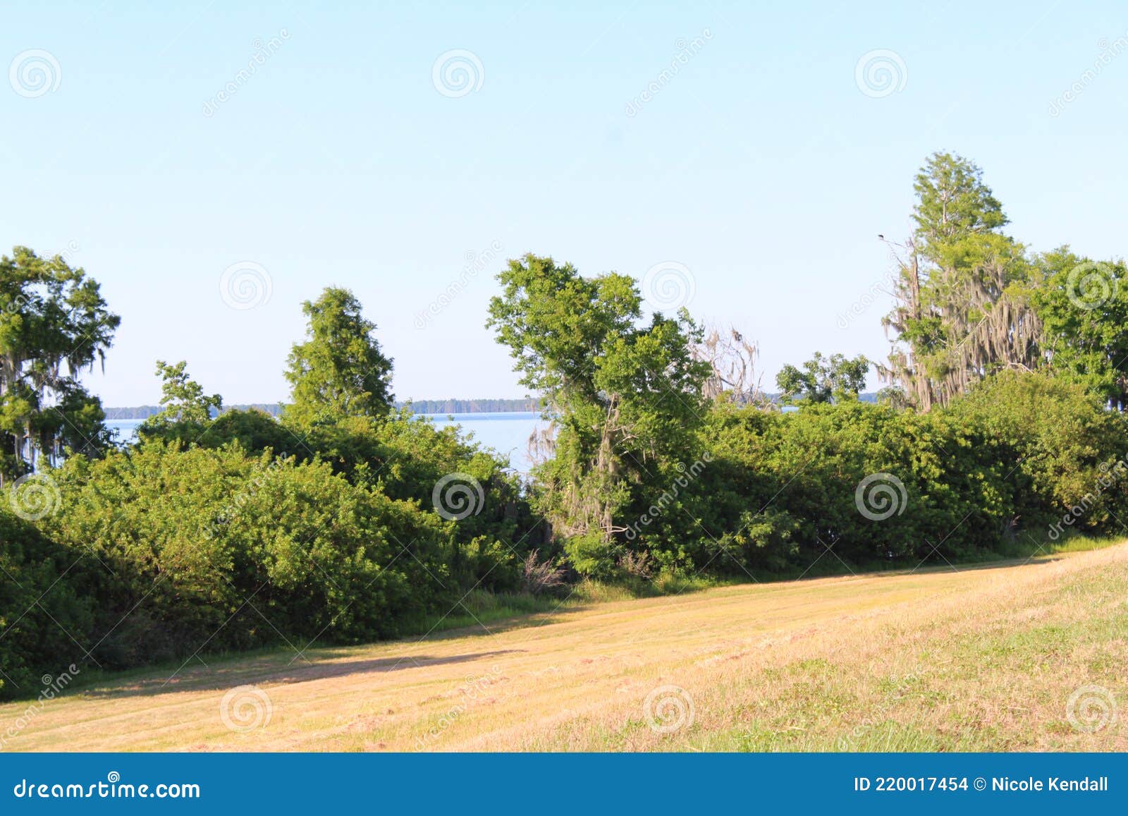 Lake Hancock at Lake Hancock Boat Ramp Stock Photo - Image of grassland ...