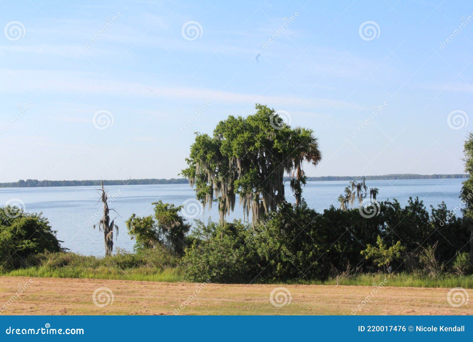 Lake Hancock at Lake Hancock Boat Ramp Stock Photo - Image of plain ...