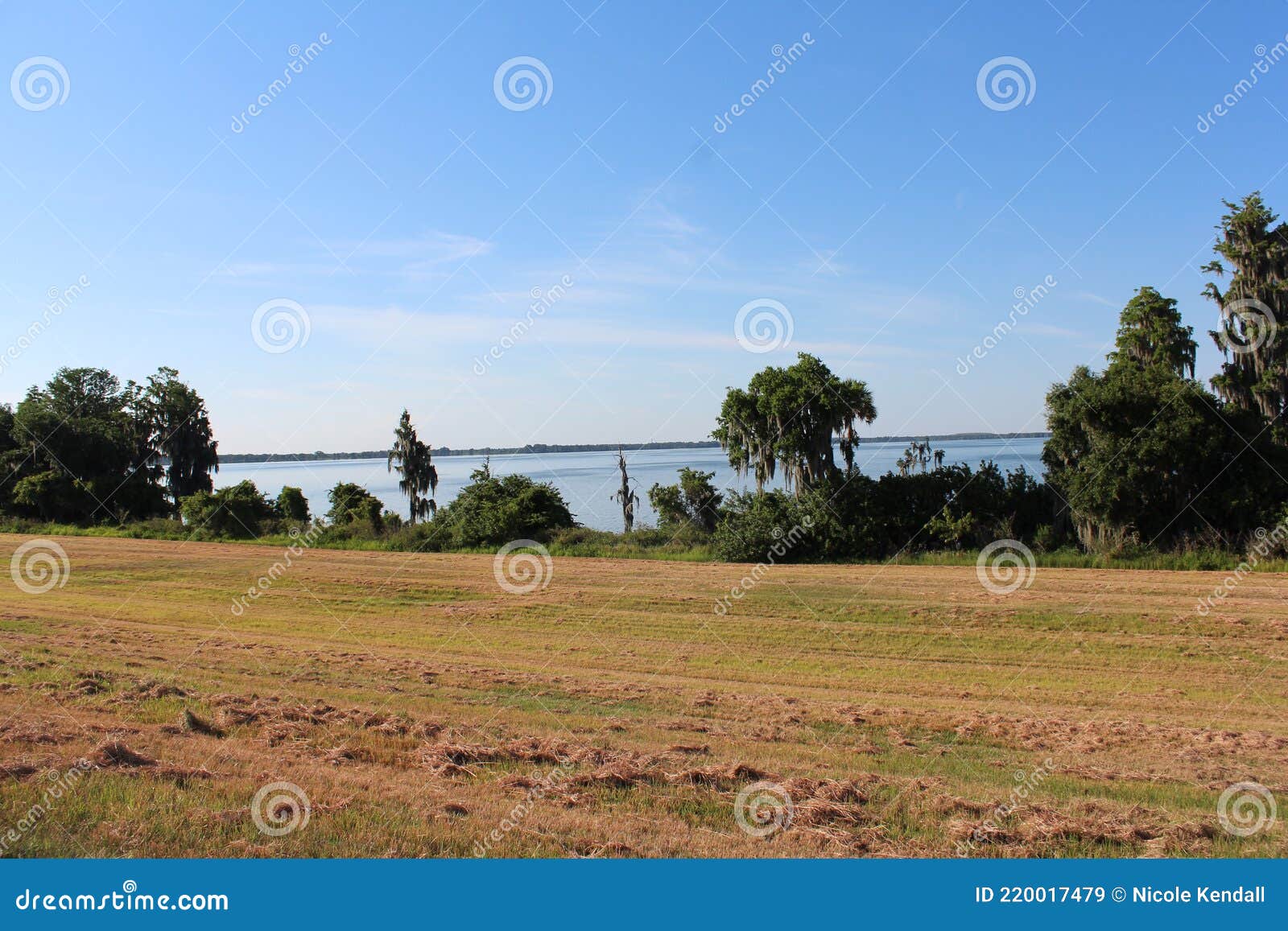 Lake Hancock at Lake Hancock Boat Ramp Stock Image - Image of river ...