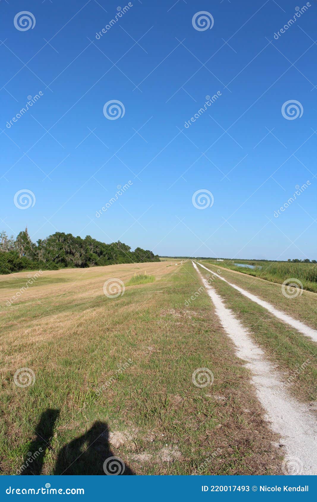 Lake Hancock at Lake Hancock Boat Ramp Stock Image - Image of landscape ...