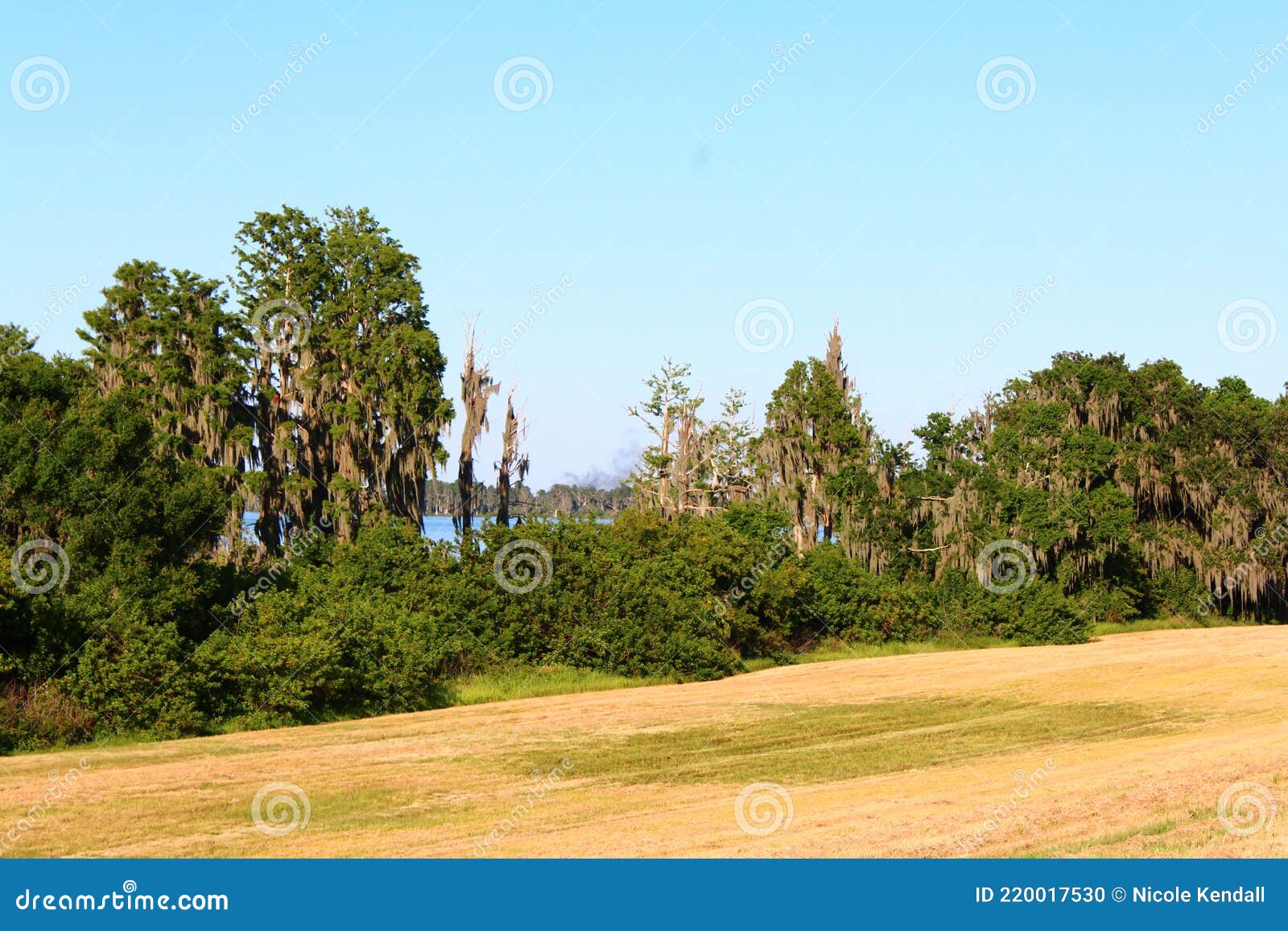 Lake Hancock at Lake Hancock Boat Ramp Stock Photo - Image of landscape ...