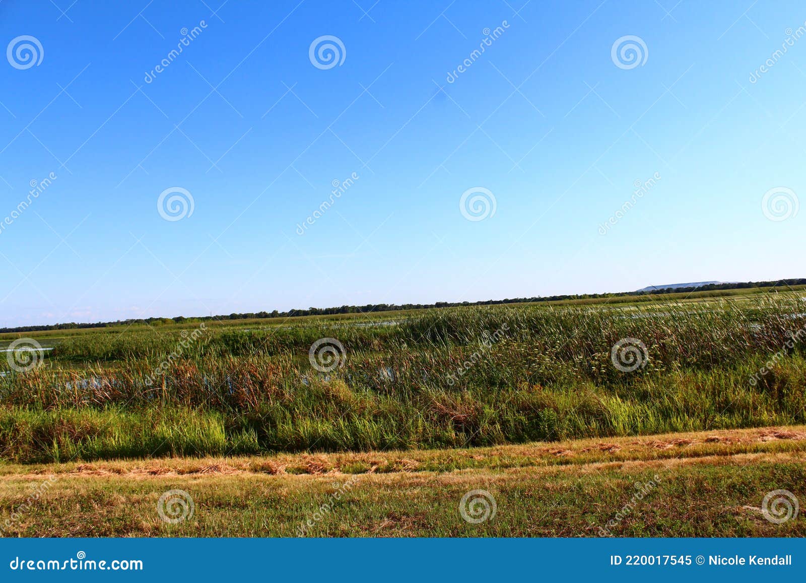 Lake Hancock at Lake Hancock Boat Ramp Stock Image - Image of meadow ...