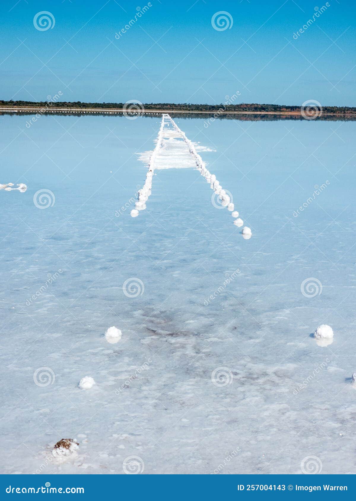 Lake Hart in South Australia Stock Image - Image of frost, line: 257004143