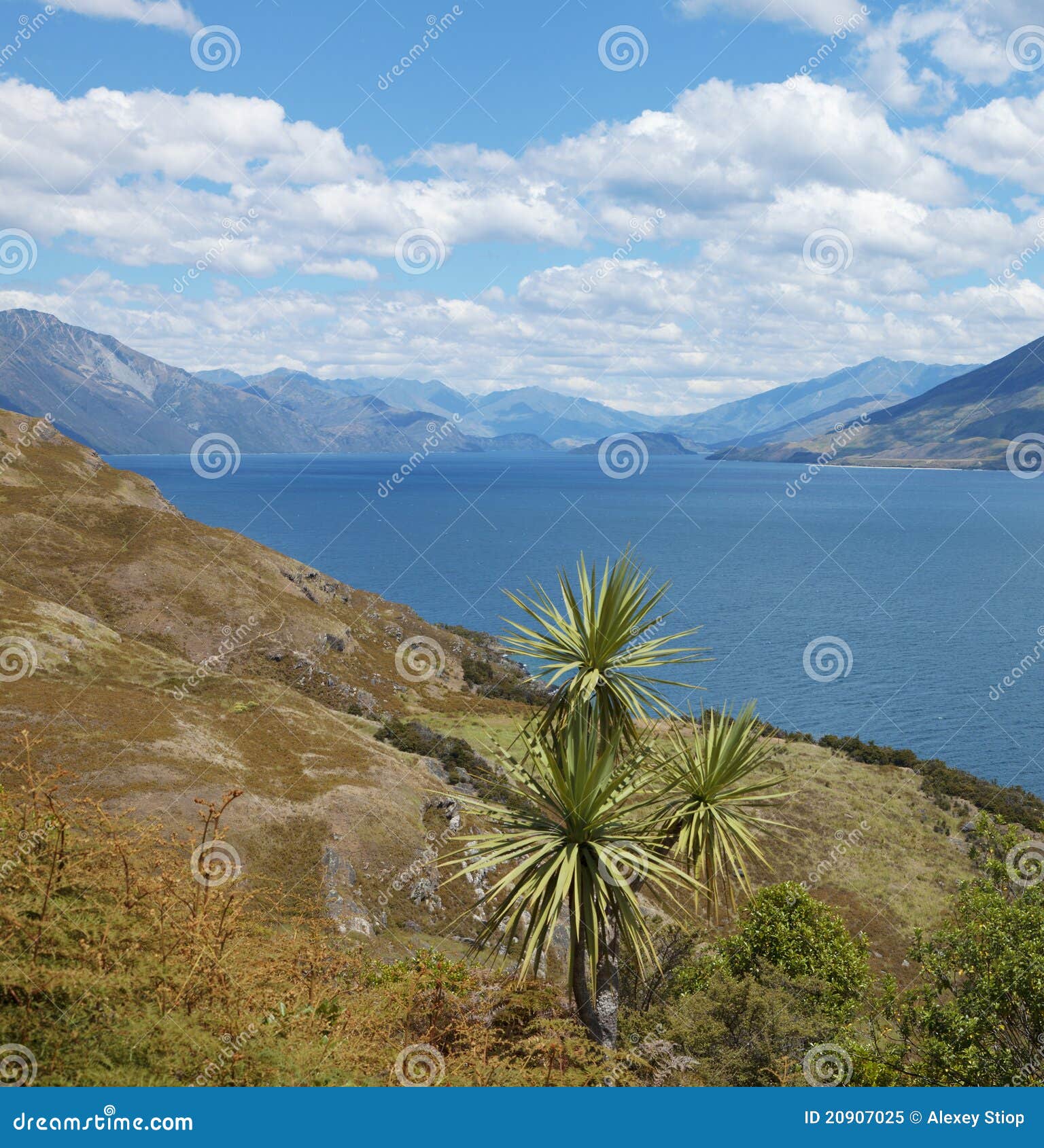 Lake Hawea stock image. Image of south, beautiful, destination - 20907025