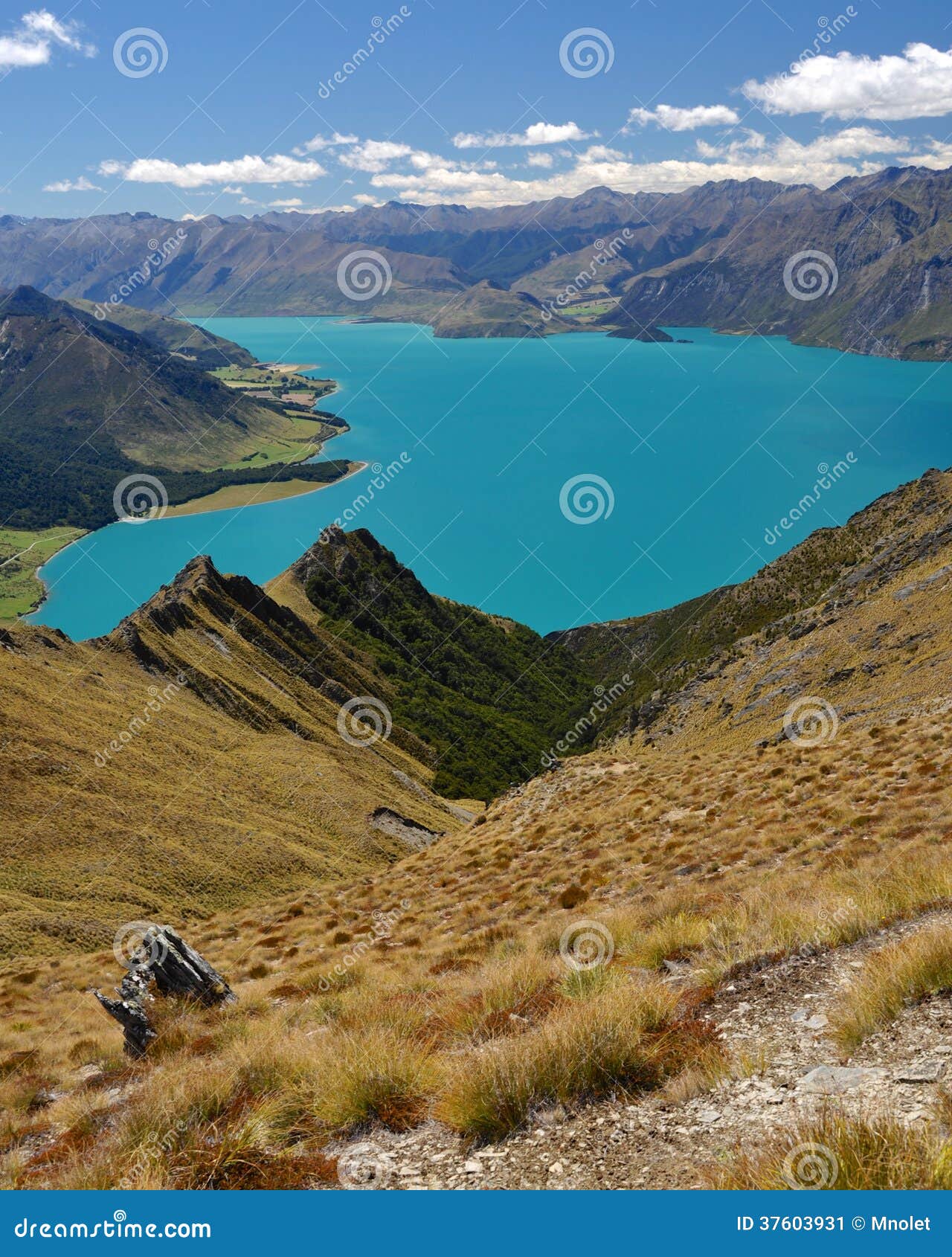 Lake Hawea near Wanaka stock image. Image of lake, wanaka - 37603931