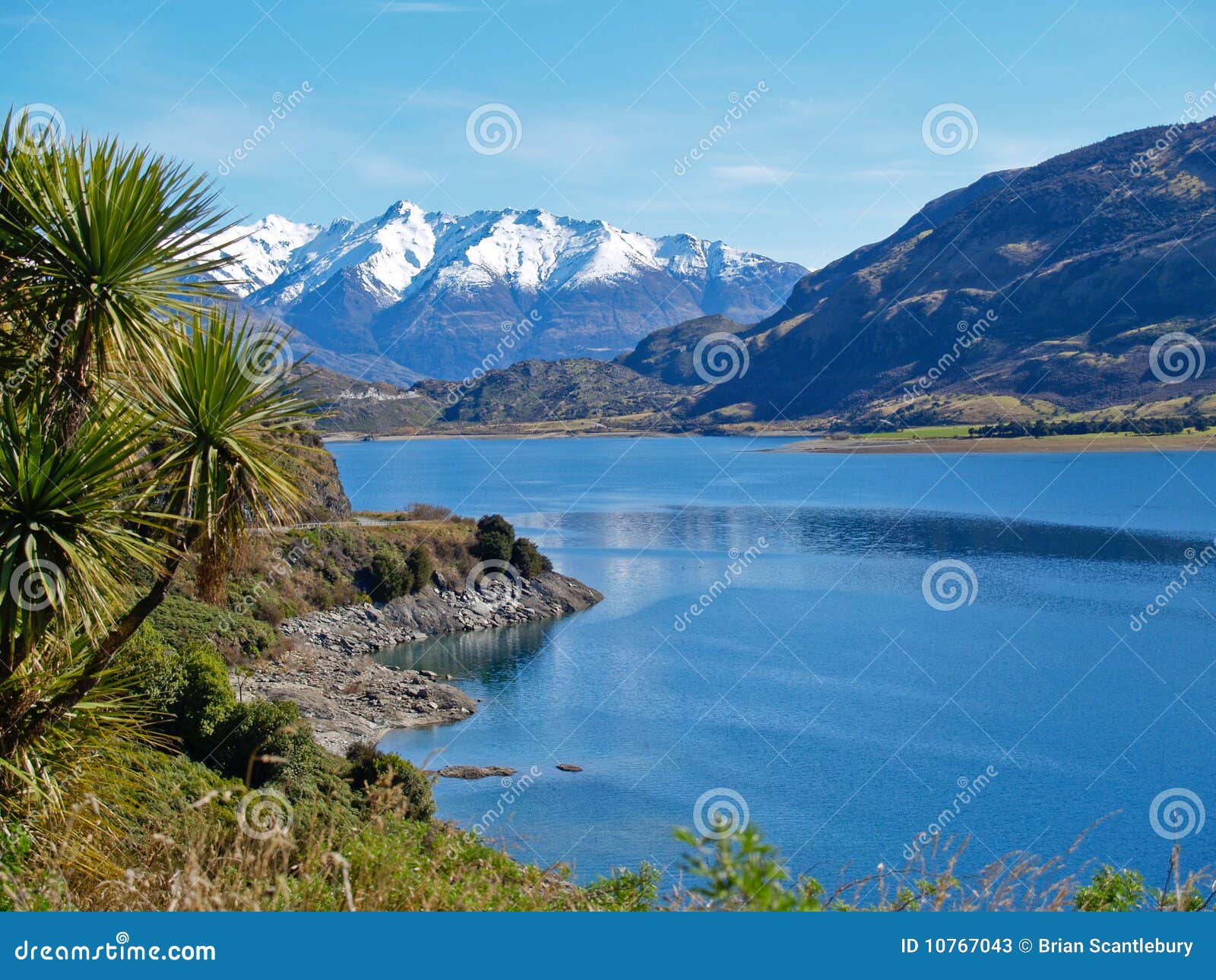 Lake Hawea, New Zealand. stock image. Image of breathless - 10767043