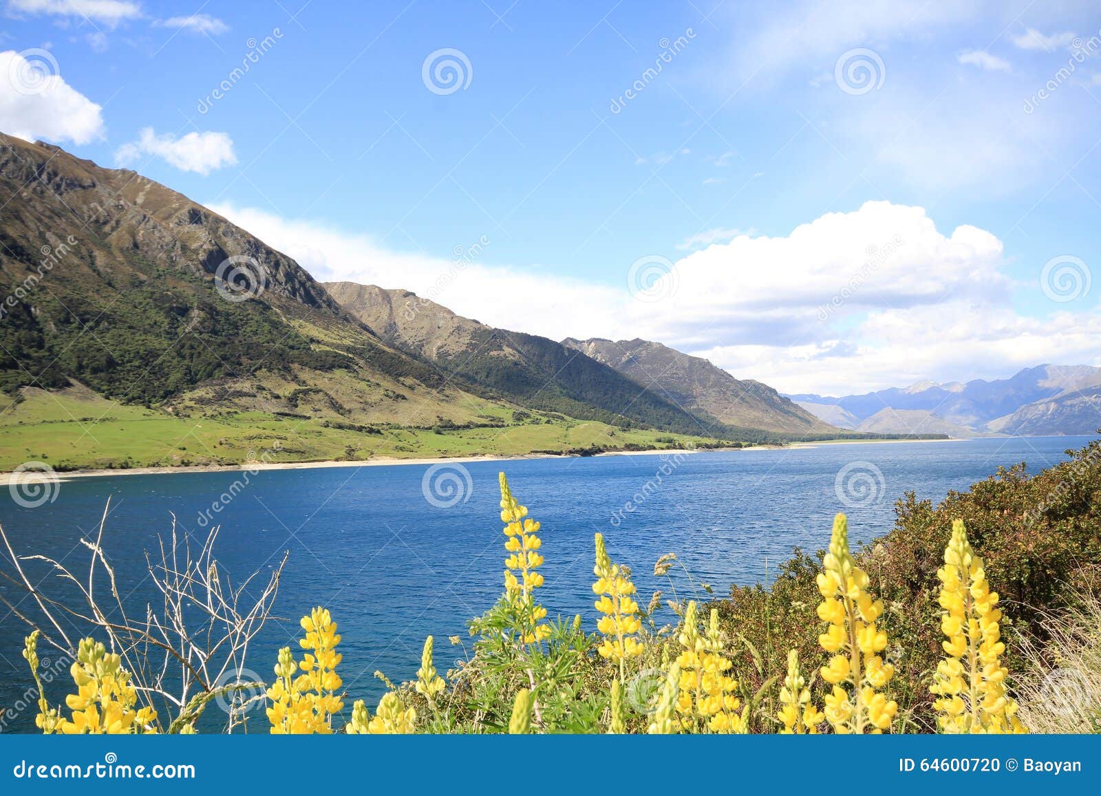 Lake hawea New Zealand stock photo. Image of newzealand - 64600720