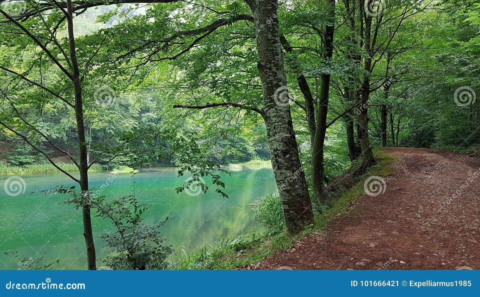 A lake in a hidden nature stock image. Image of nature - 101666421