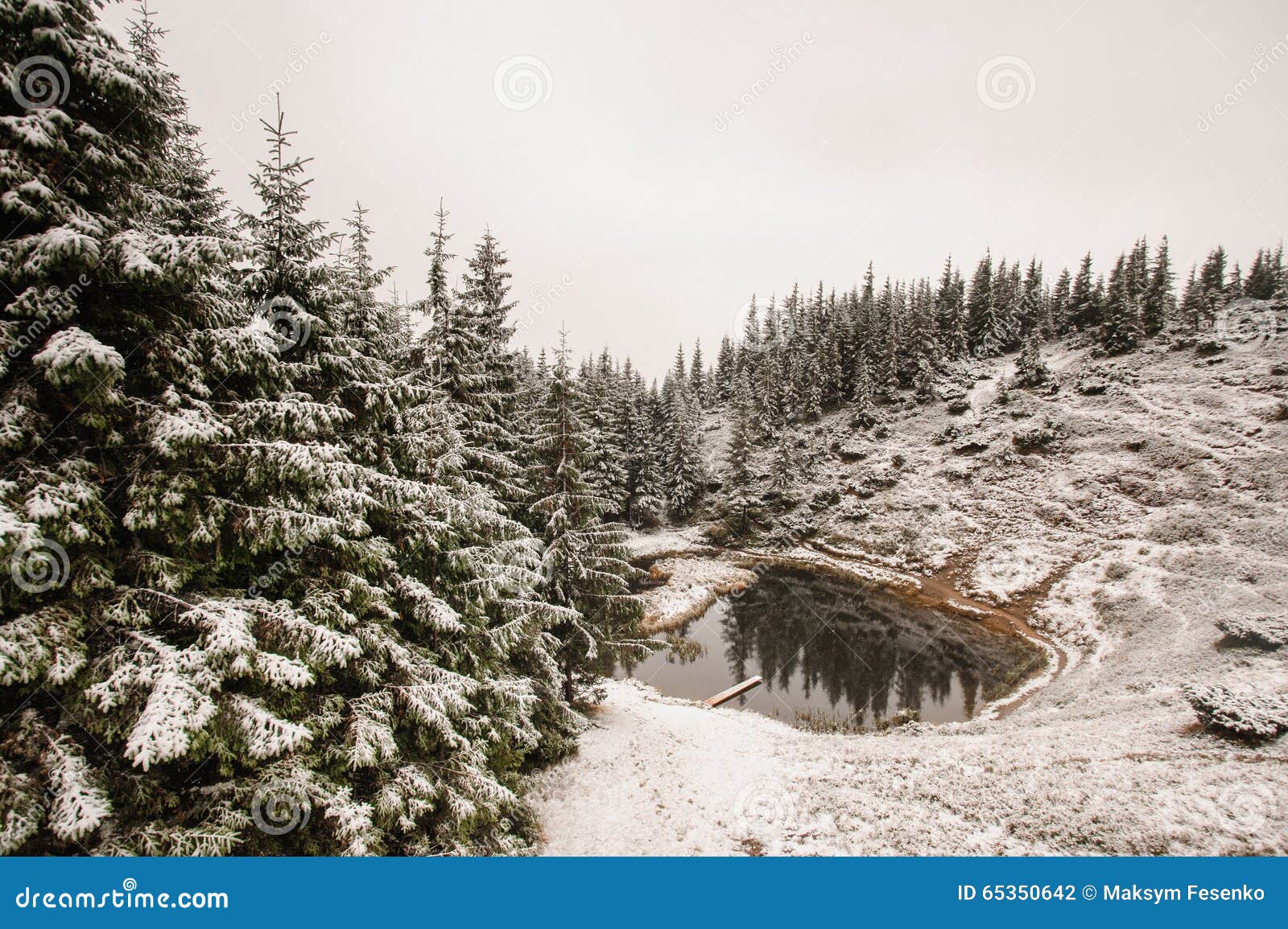 Lake Hidden within the Snowy Winter Forest. Stock Photo - Image of ...