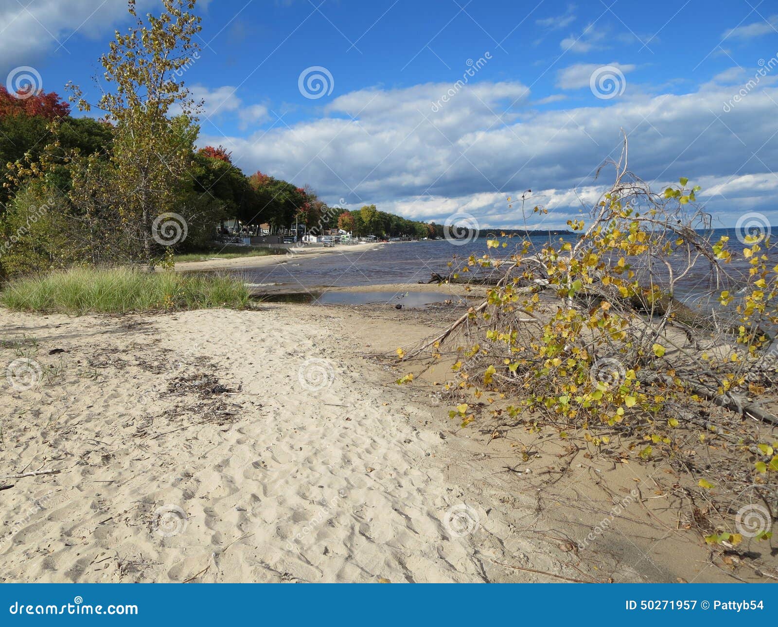 Lake Huron Shoreline in the Fall Stock Image - Image of bridge, fall ...