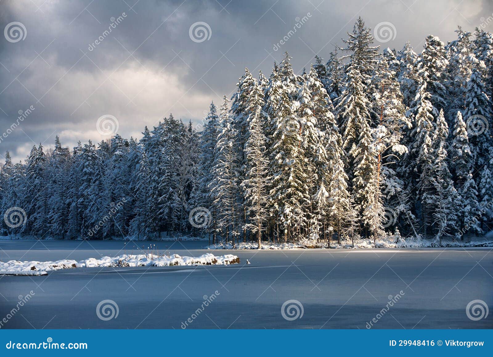 Lake in the Ice and Forest in Winter Stock Photo - Image of area, frost ...