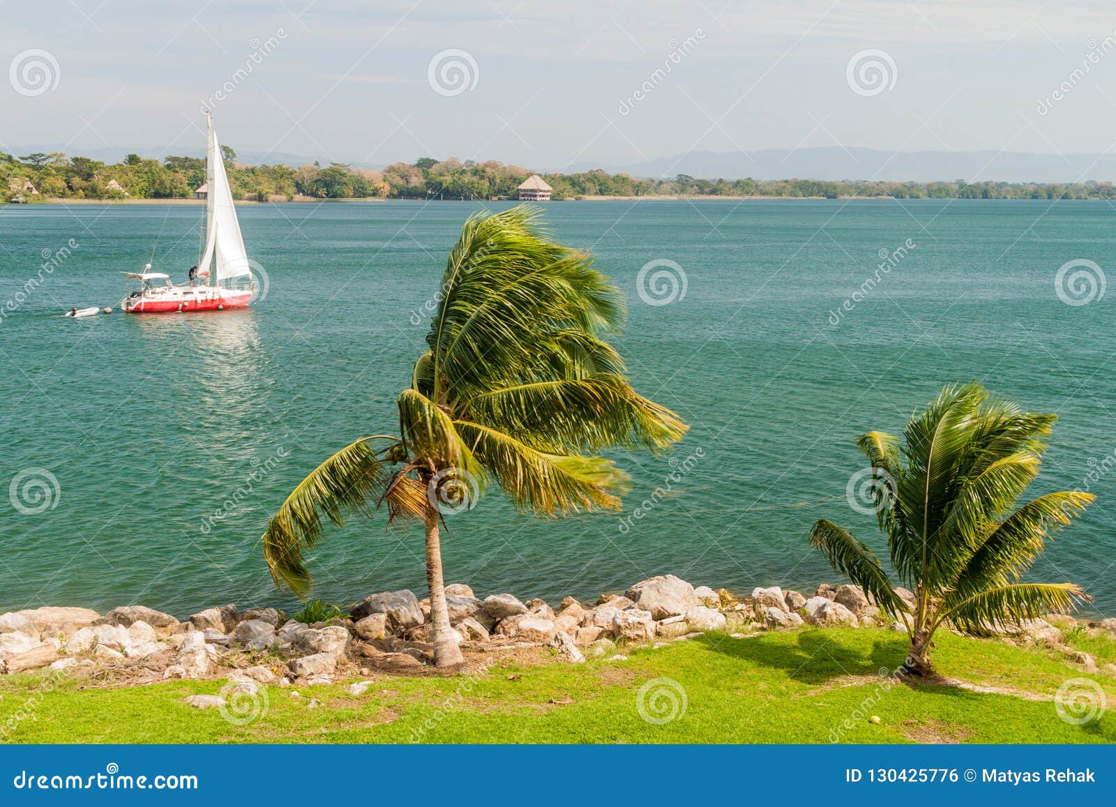 Lake Izabal in Eastern Guatema Stock Photo - Image of palm, river ...